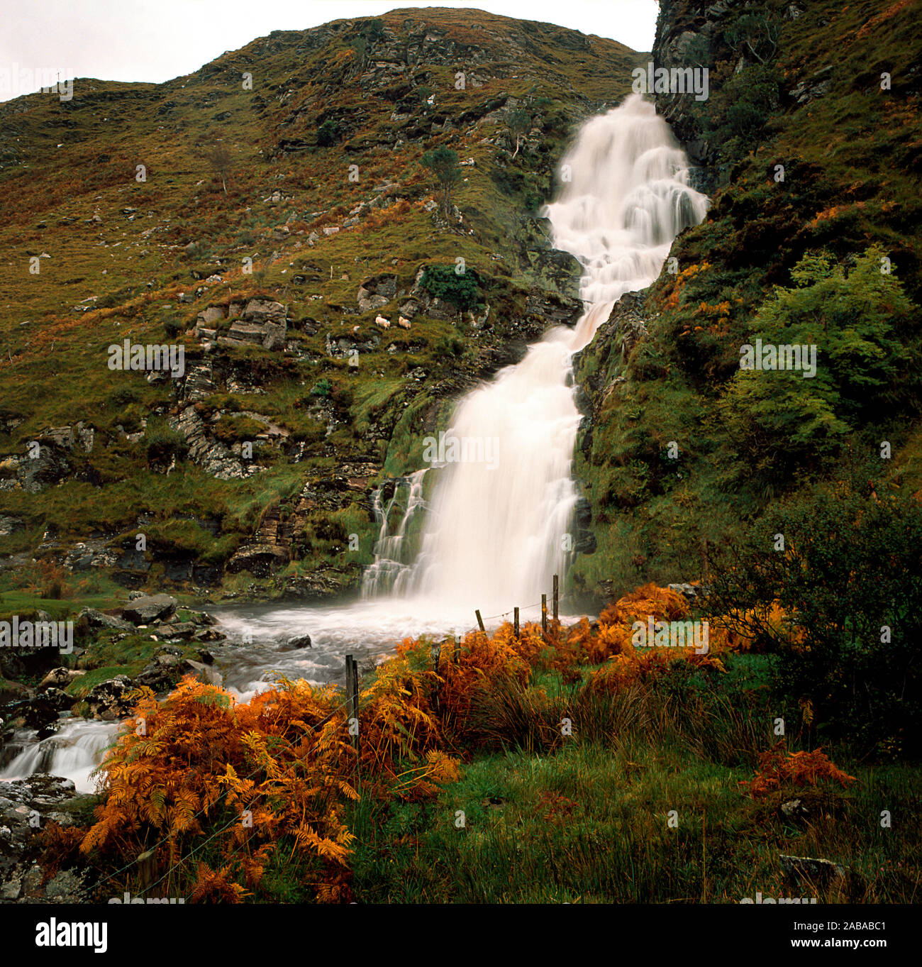 The Assaranca waterfall in Ardara, County Donegal, Ireland Stock Photo ...