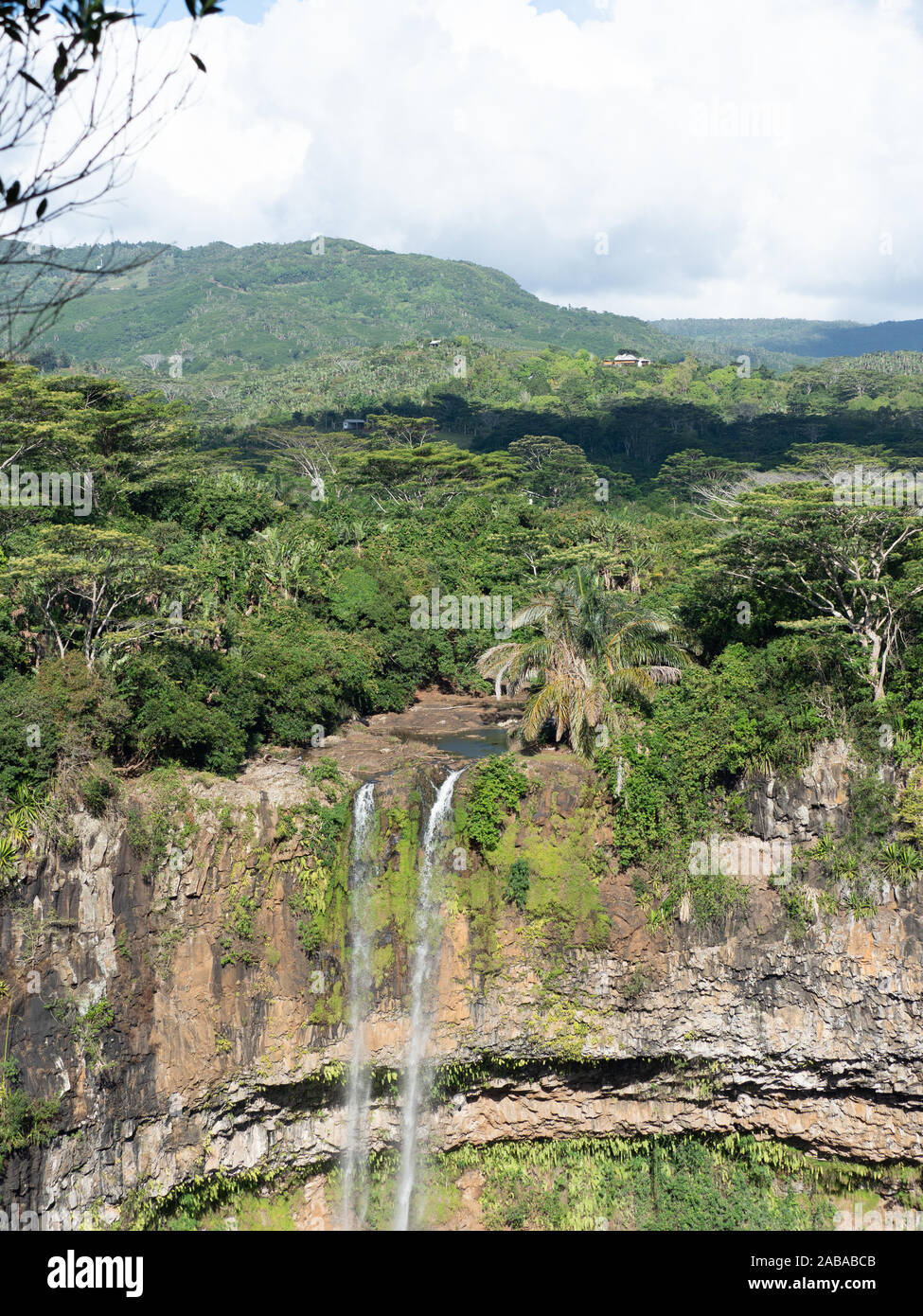 Mauritius jungle hi-res stock photography and images - Alamy