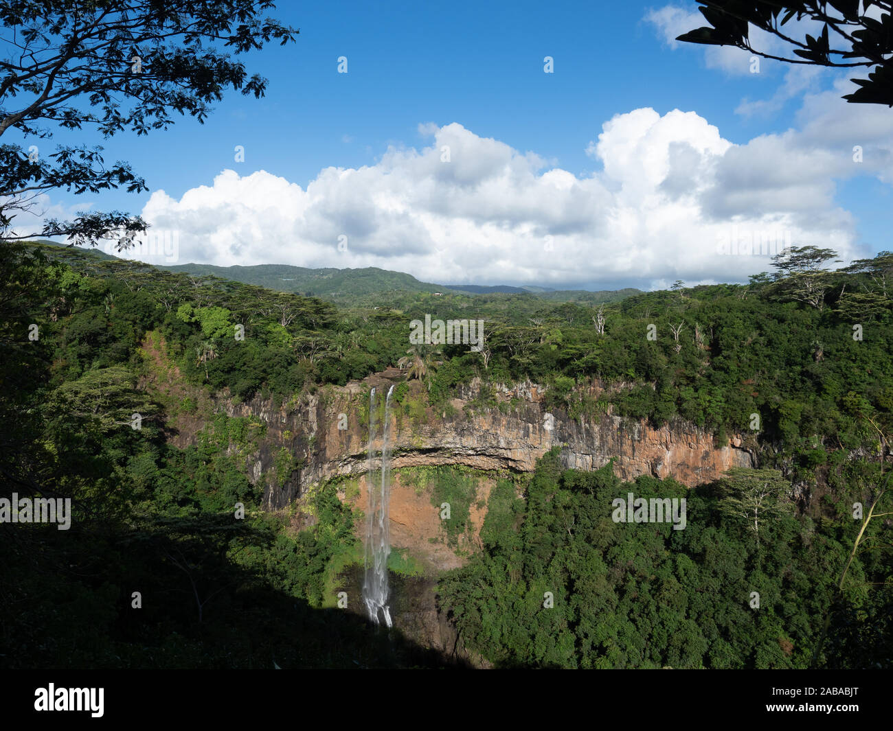 Mauritius jungle hi-res stock photography and images - Alamy