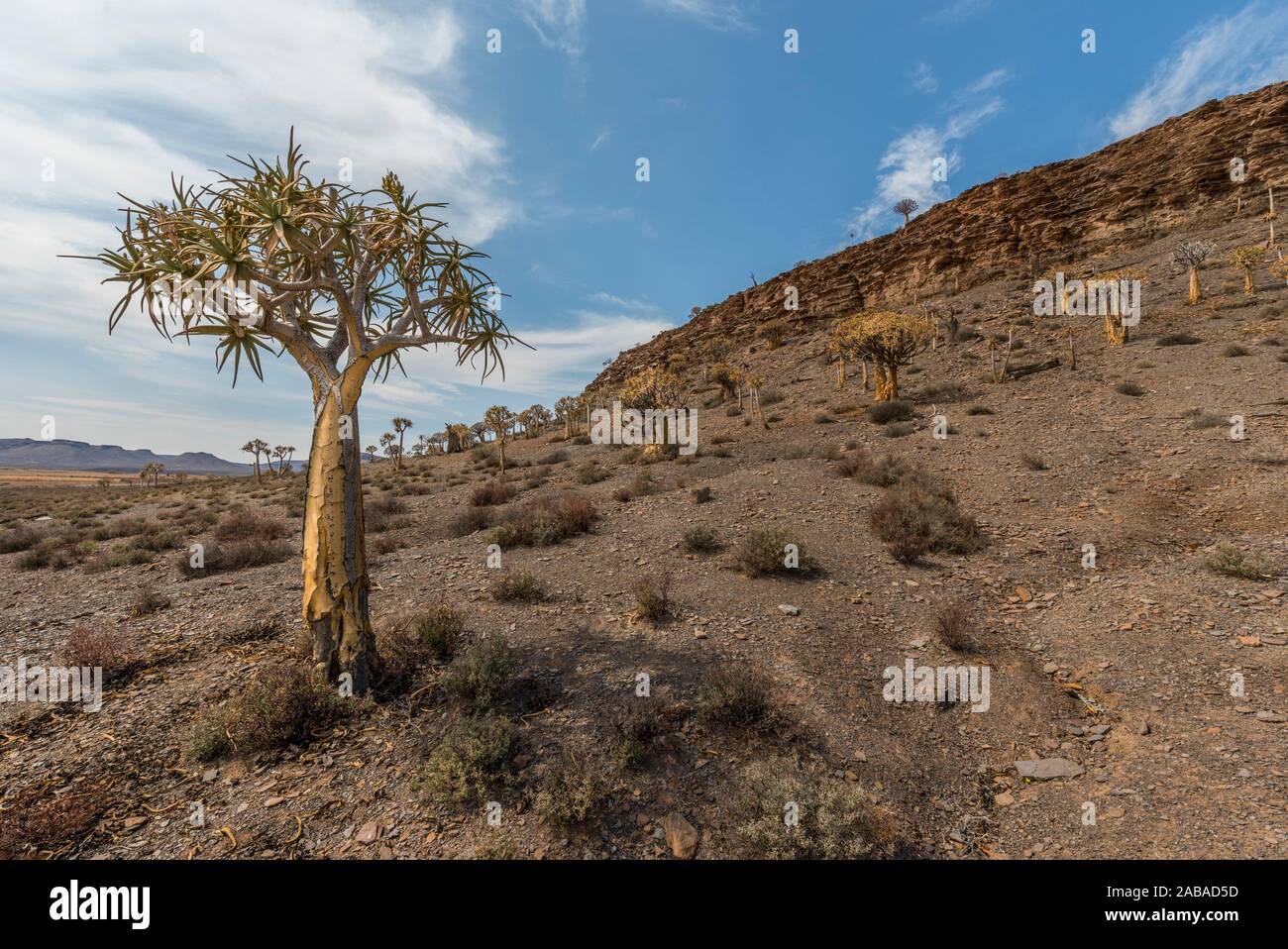 Karoo landscape hill hi-res stock photography and images - Alamy