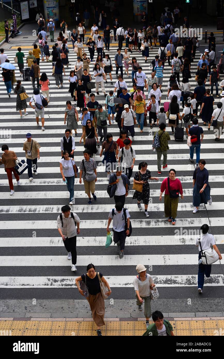 Busy Zebra crossing in Osaka,Japan,Asia Stock Photo - Alamy