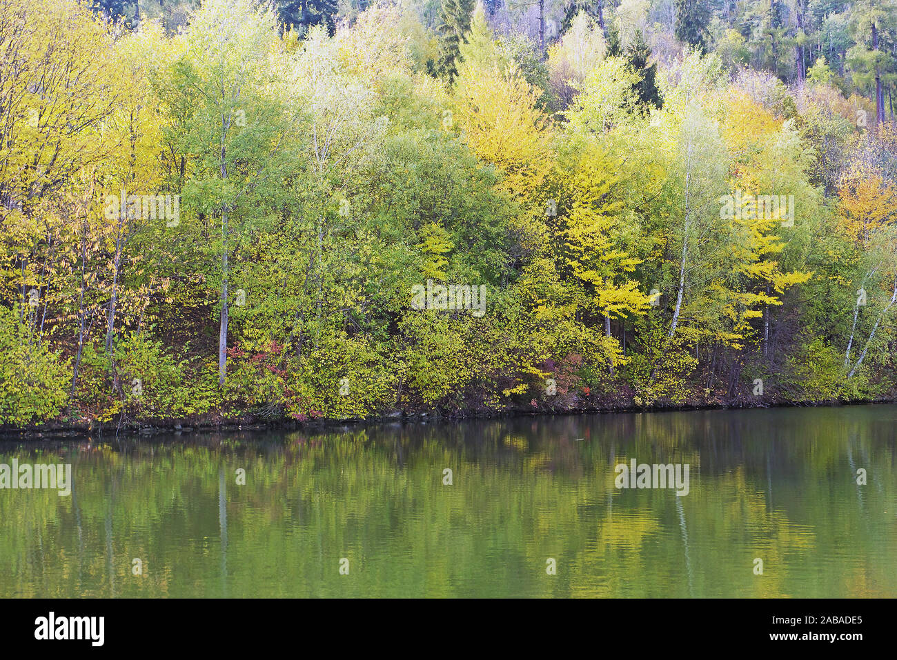 Vegetation in autumn hi-res stock photography and images - Alamy