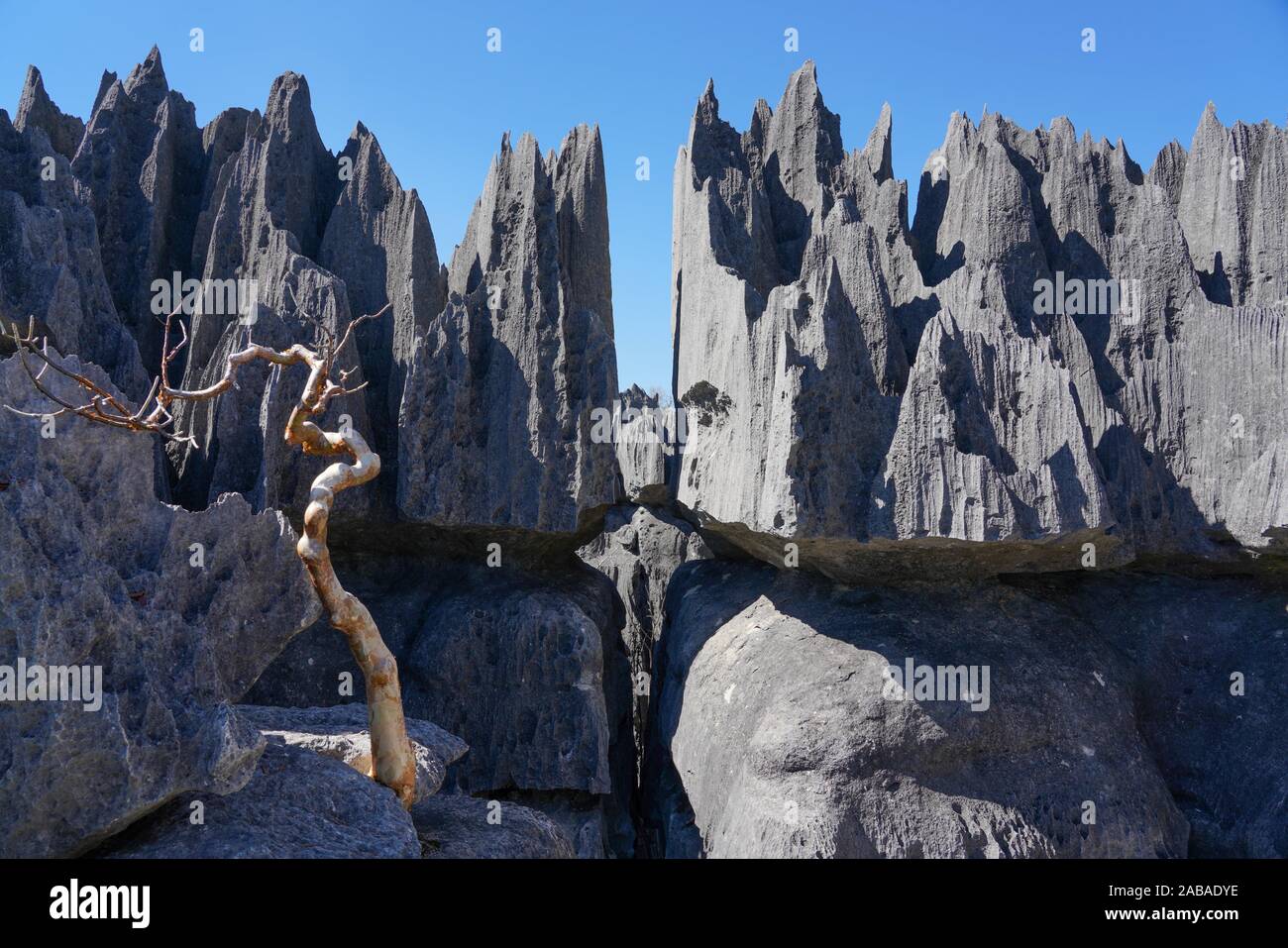 Bemaraha national park hi-res stock photography and images - Alamy