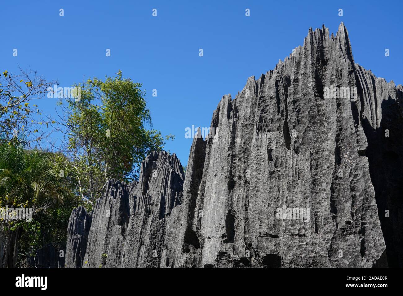 Región de melaky hi-res stock photography and images - Alamy