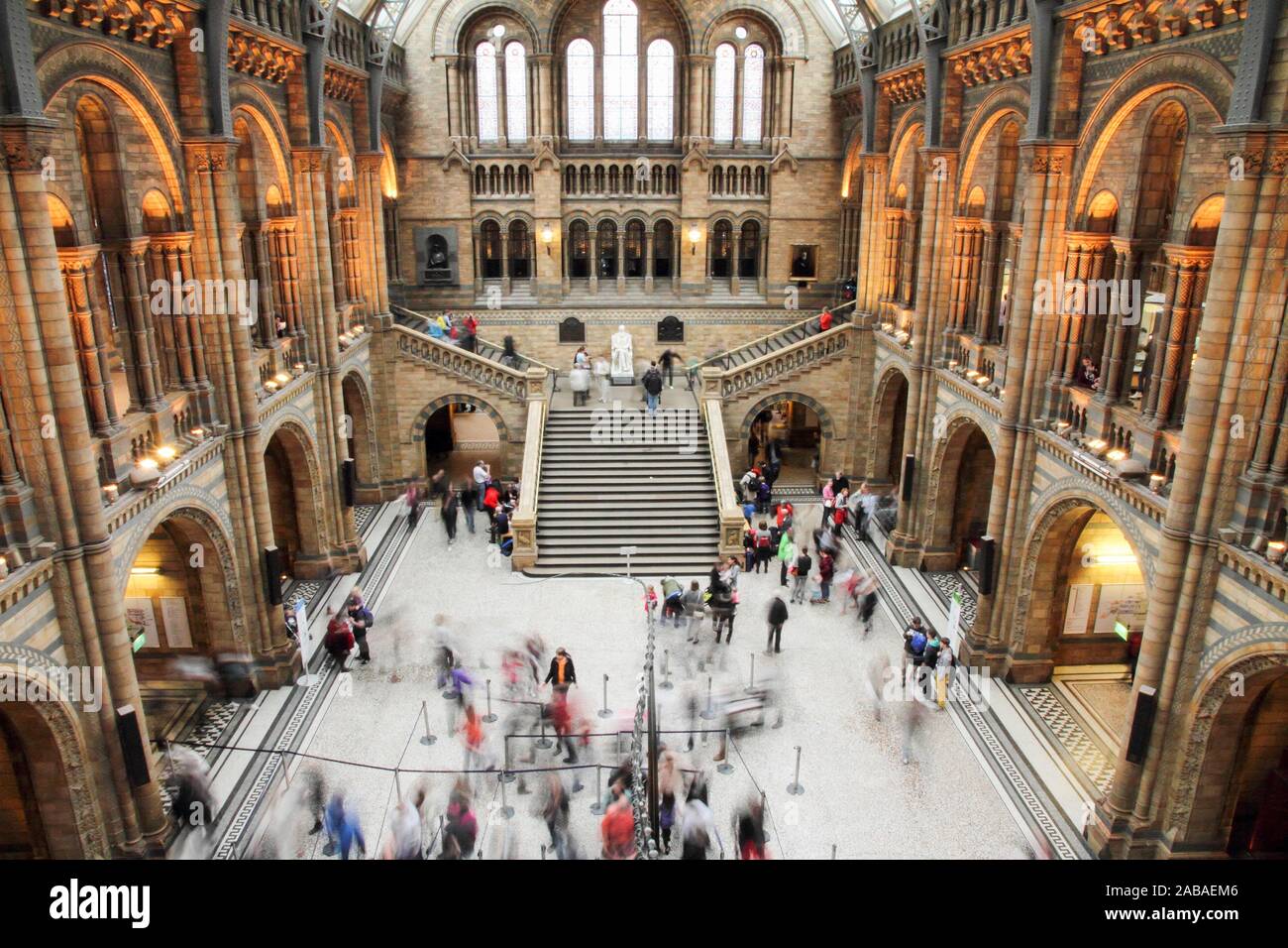 Natural History Museum London Interior