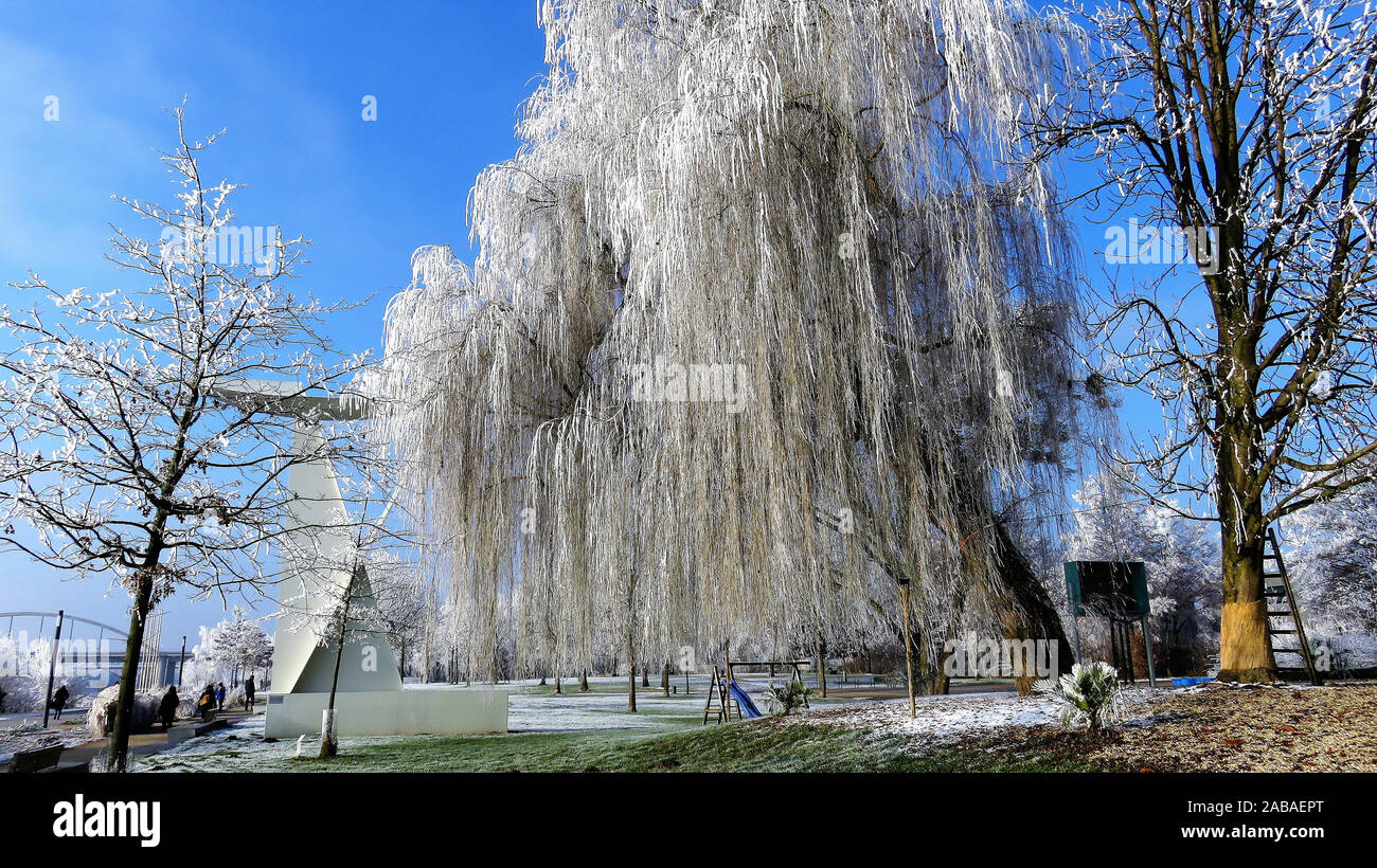 The first frost and winter break! Stock Photo - Alamy