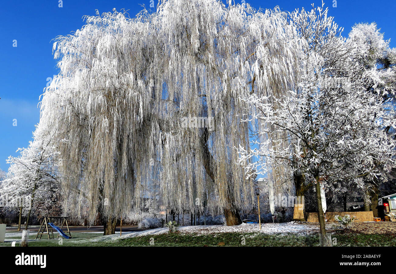 The first frost and winter break! Stock Photo - Alamy