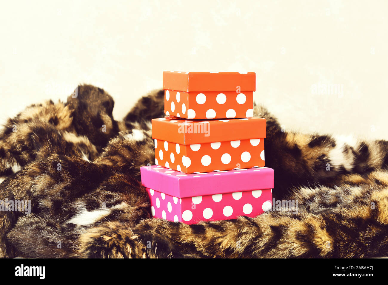 Colorful orange and pink polka dotted gift boxes on spotted fluffy fur ... Colorful orange and pink polka dotted gift boxes on spotted fluffy fur ...