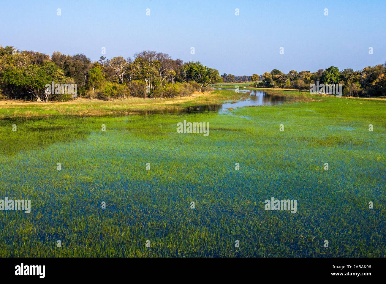 Okawango delta hi-res stock photography and images - Alamy