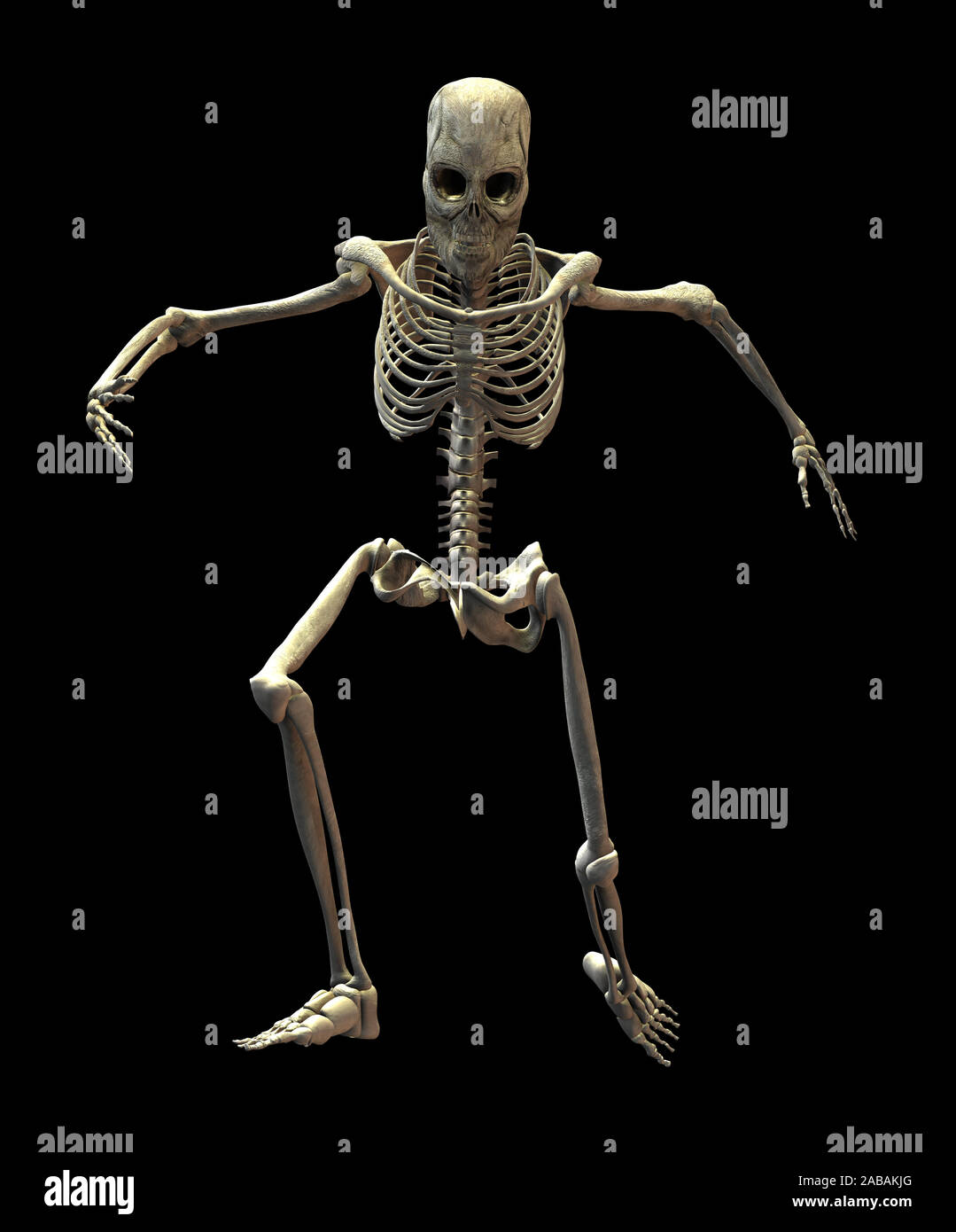 An illustration of a skeleton isolated on a black background Stock ...