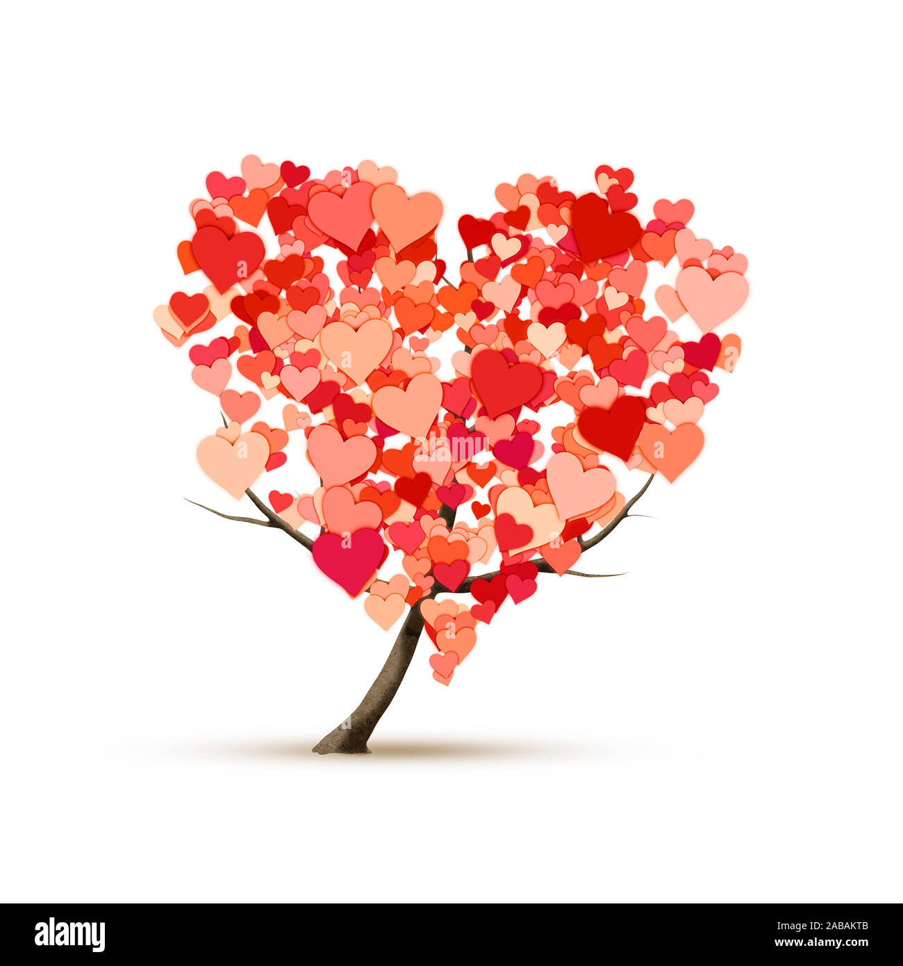 Baum mit weißem hintergrund hi-res stock photography and images - Alamy