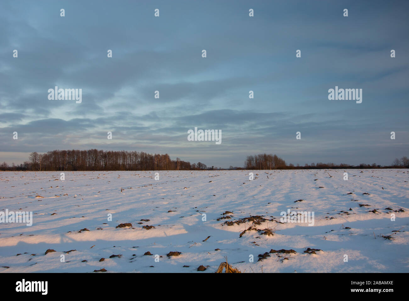 Field snow winter hi-res stock photography and images - Alamy