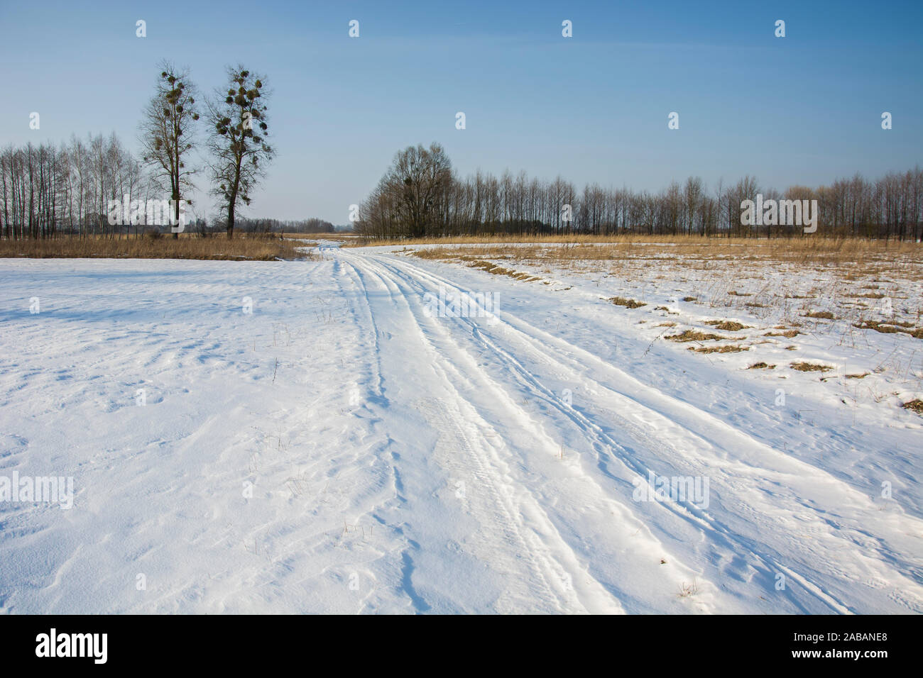 Snow-covered road through the fields Stock Photo - Alamy