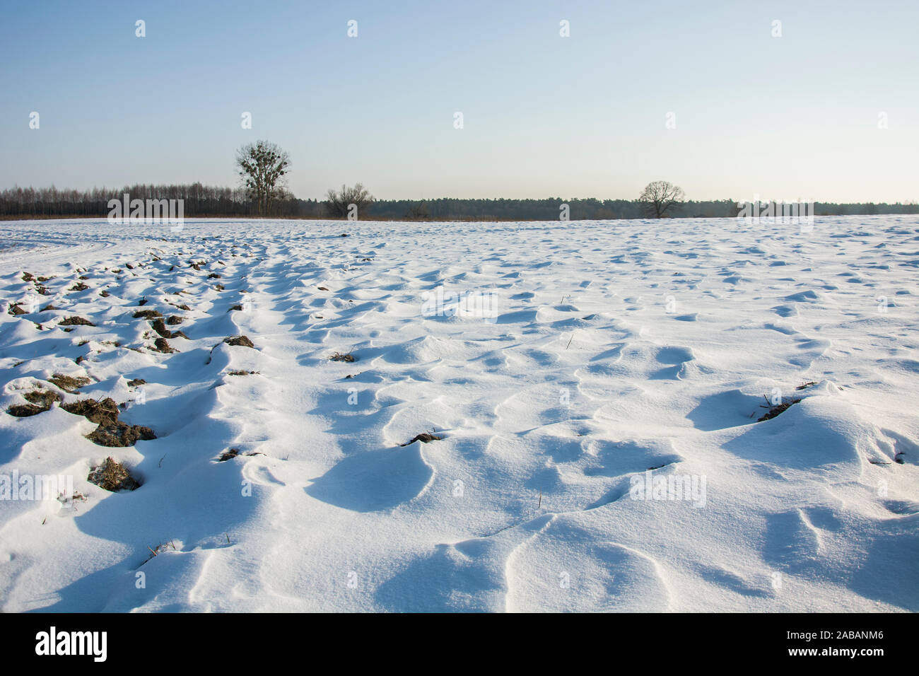 The ground in the field is covered with snow Stock Photo - Alamy