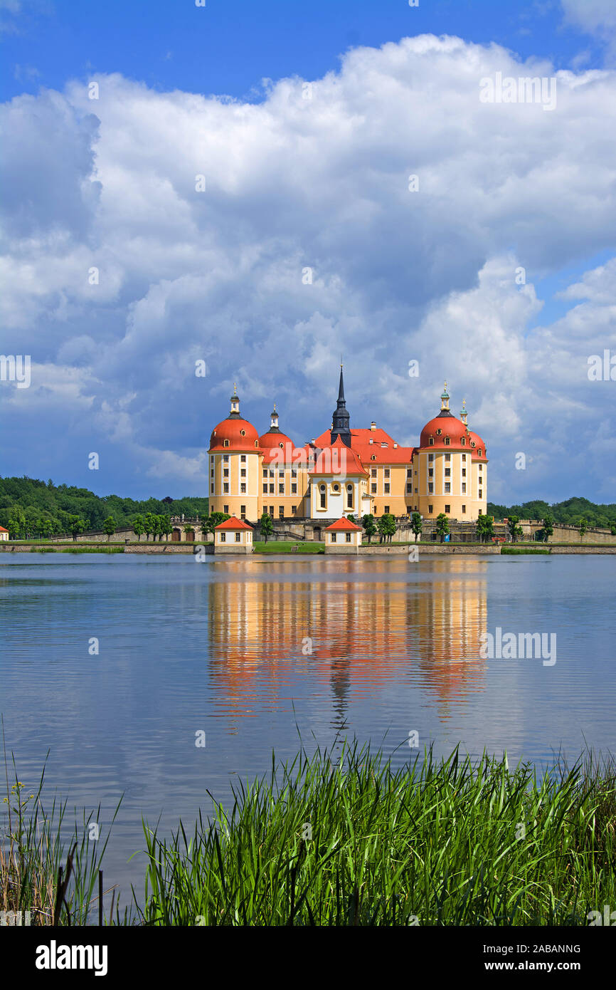 Schloss Moritzburg, Barockschloss, Moritzburg, Sachsen Stock Photo - Alamy