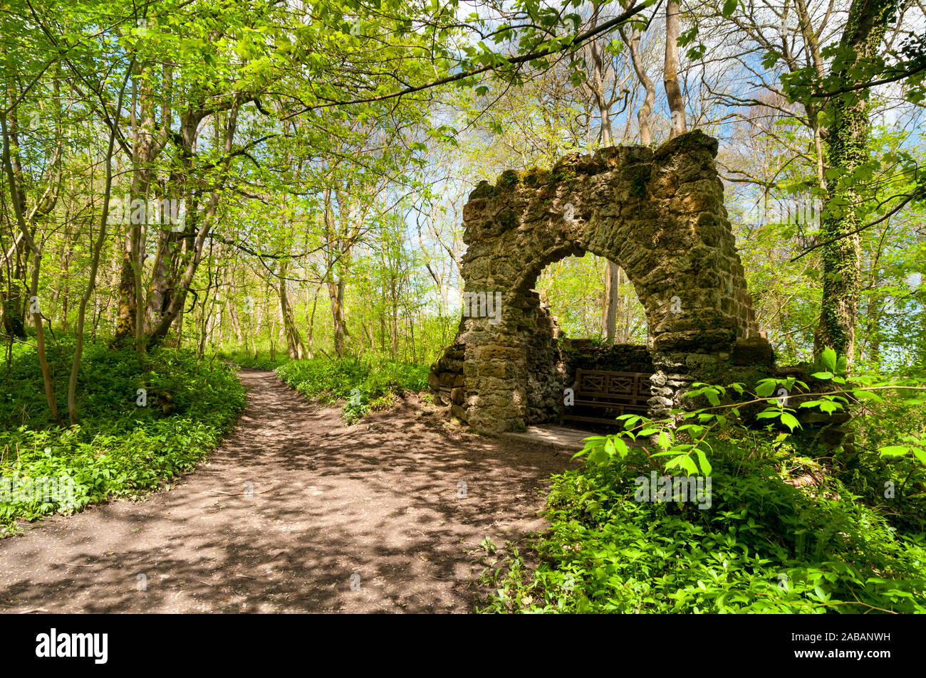 A view of teh Grotto in Hackfall Woods on the eastern edge of the ...