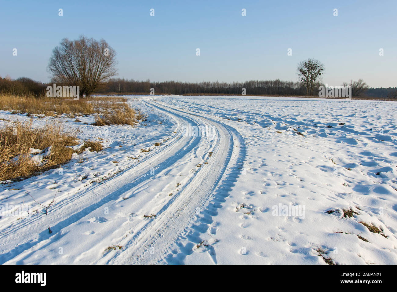 Winding snowy forest road hi-res stock photography and images - Alamy
