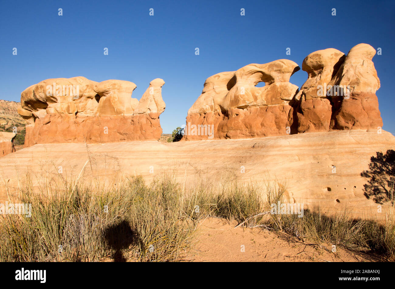 Nordamerika hi-res stock photography and images - Alamy