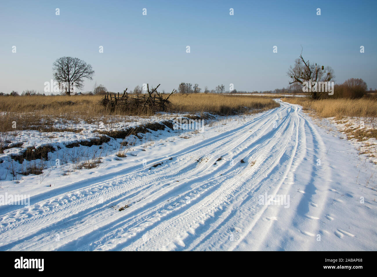 Path of ice through grass hi-res stock photography and images - Alamy