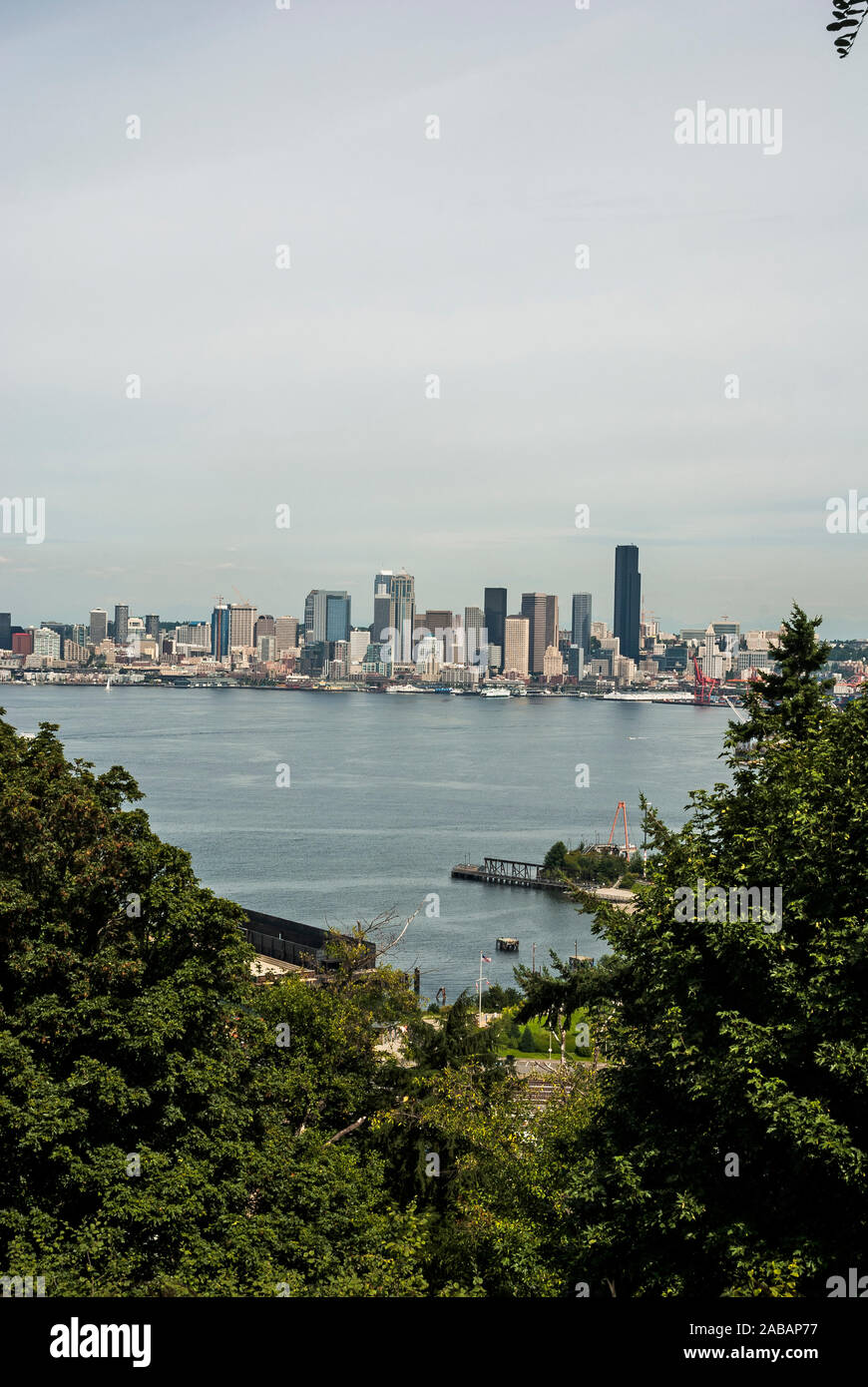 Framed by foliage, a view of the Seattle Skyline across Puget Sound ...