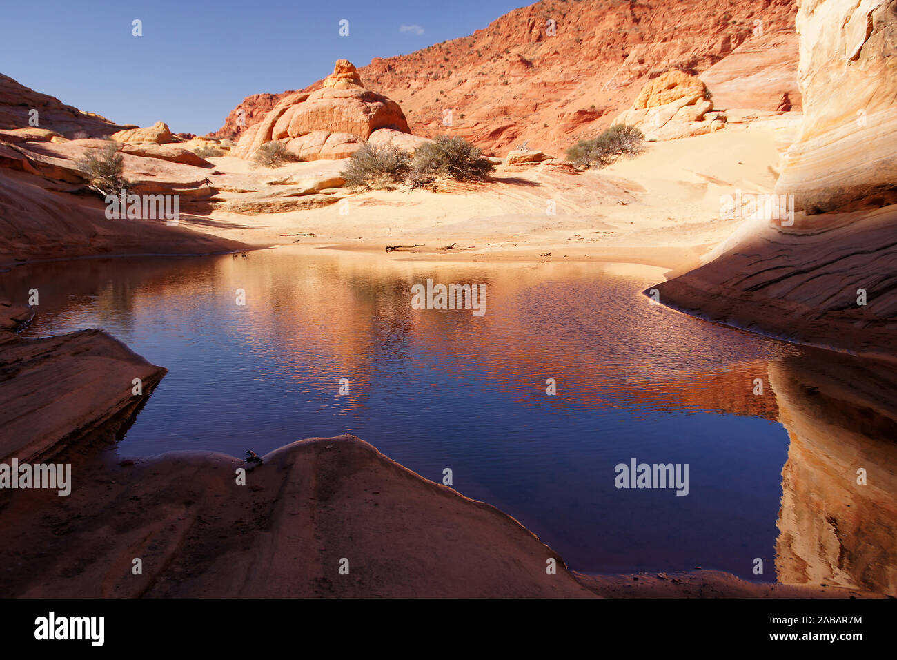 Vermilion Cliffs Wilderness Canyon Stock Photo - Alamy