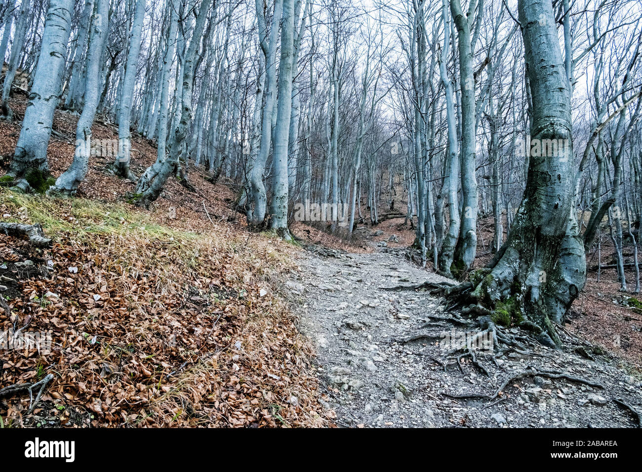Strazov hill hi-res stock photography and images - Alamy