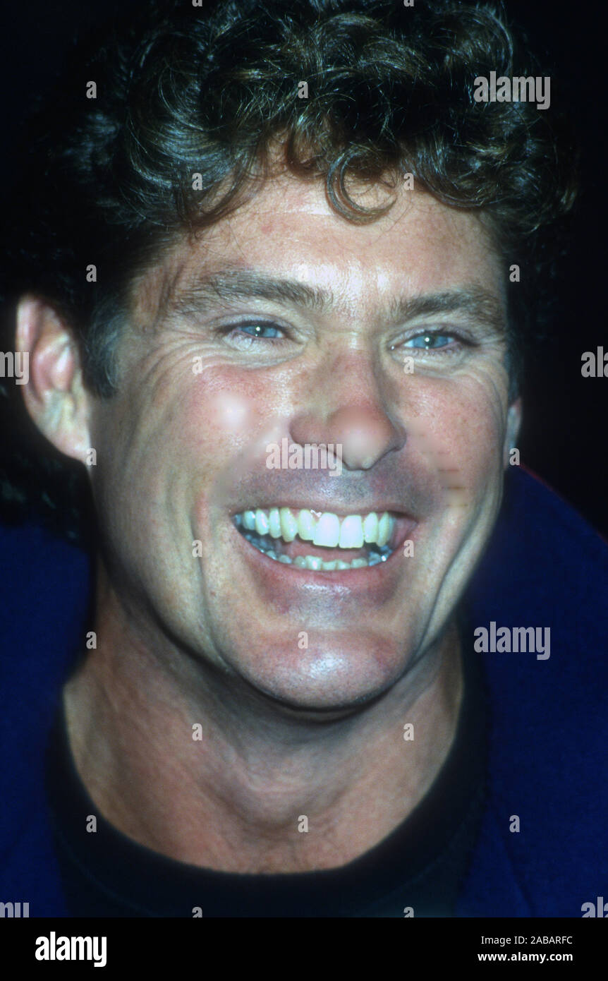 David michael hasselhoff hi-res stock photography and images - Alamy