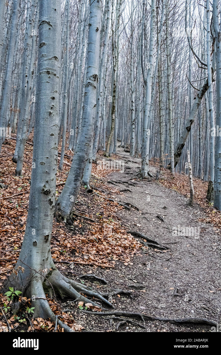 Strazov hill hi-res stock photography and images - Alamy