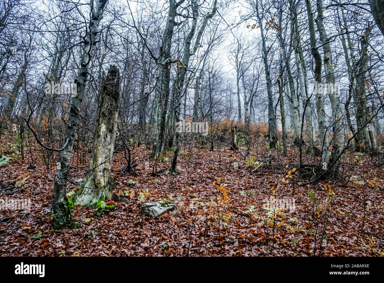 Strazov hill hi-res stock photography and images - Alamy