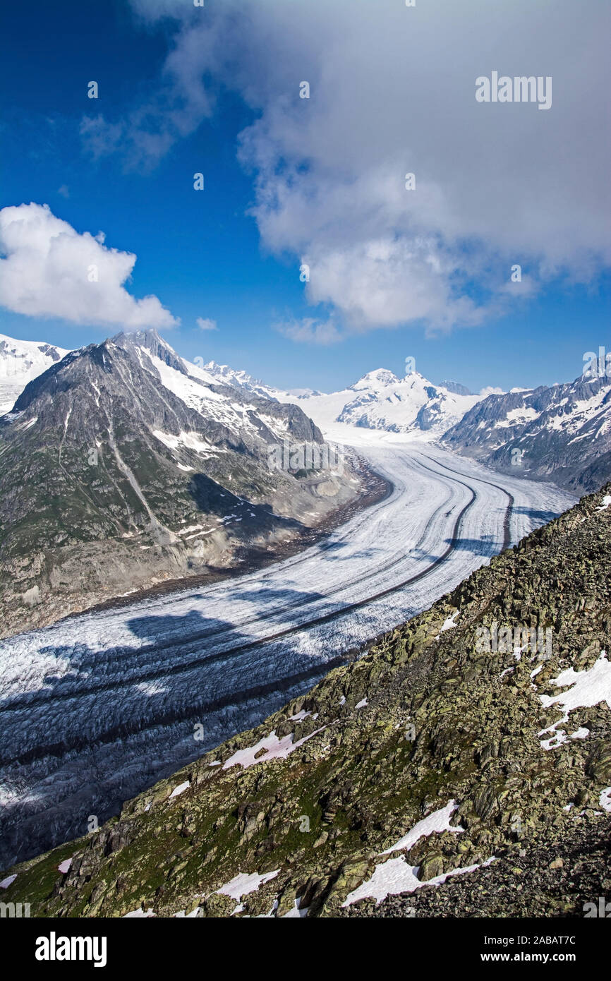 Der Grosse Aletschgletscher ist der flächenmässig grösste und längste ...