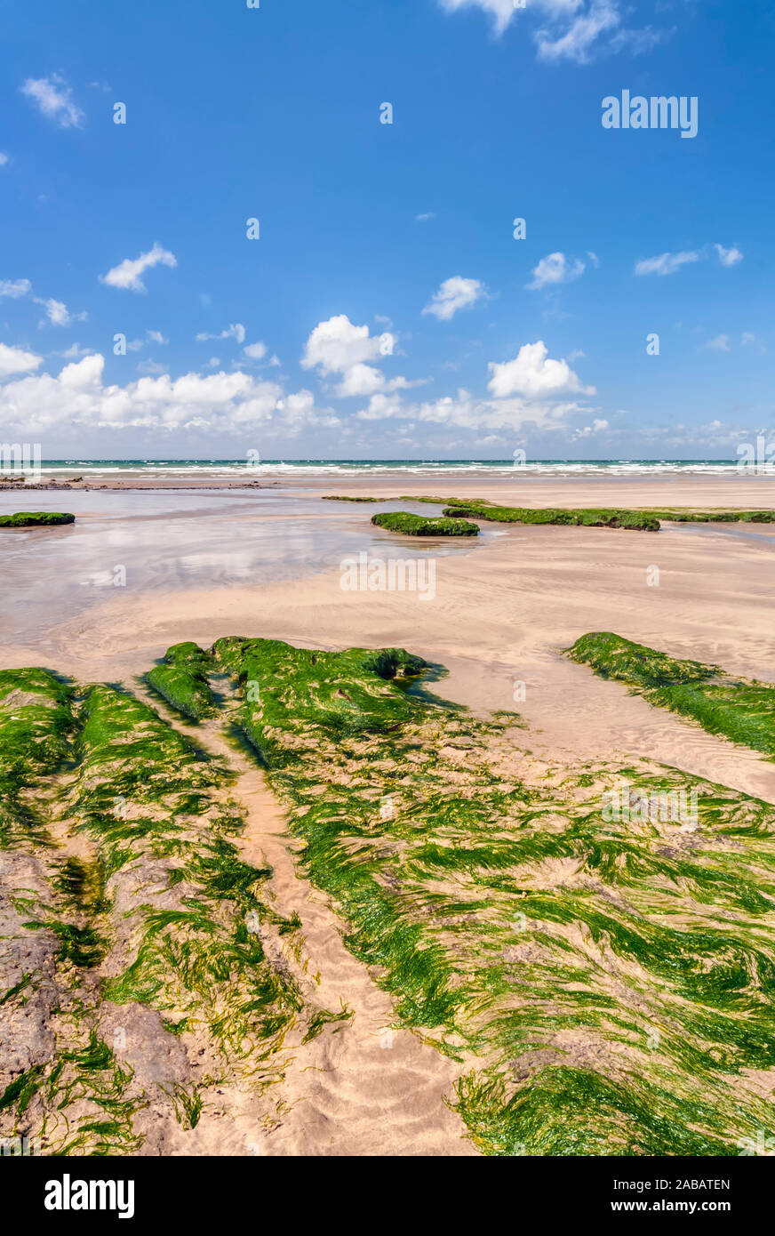 Stanbury beach hi-res stock photography and images - Alamy