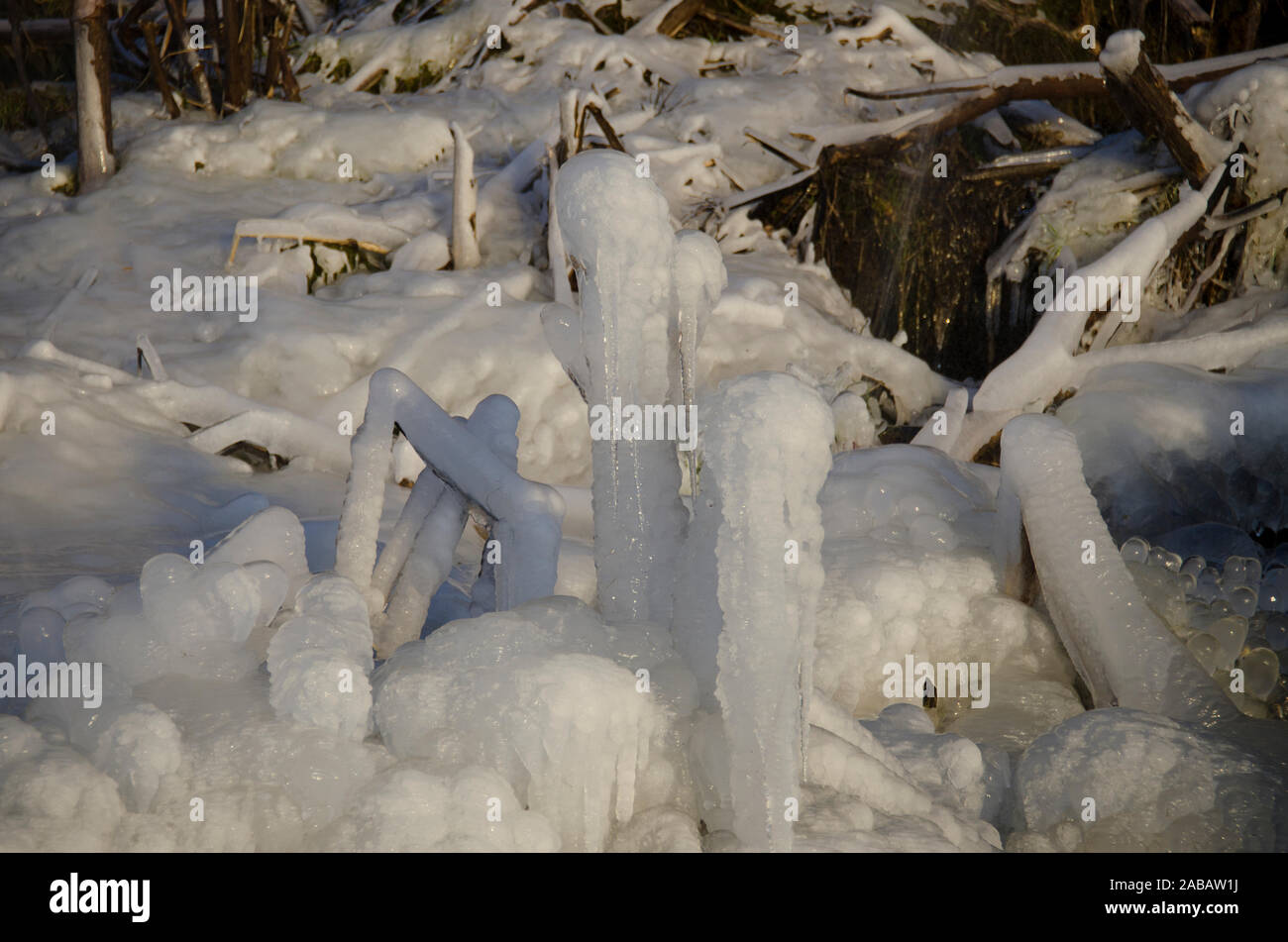 Huge ice icicles on old grass. Severe frost Stock Photo - Alamy