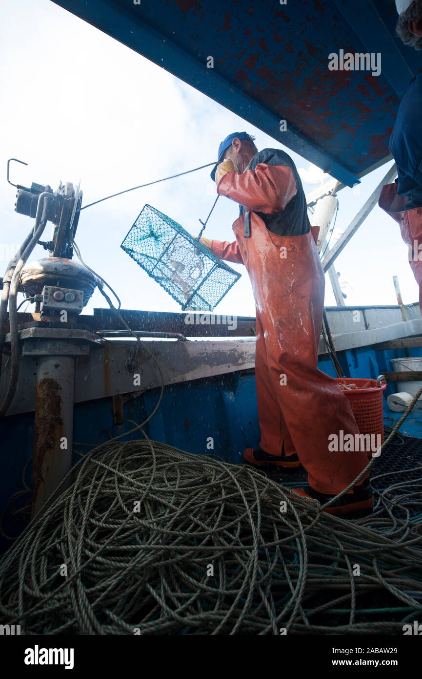 Mastery hi-res stock photography and images - Alamy