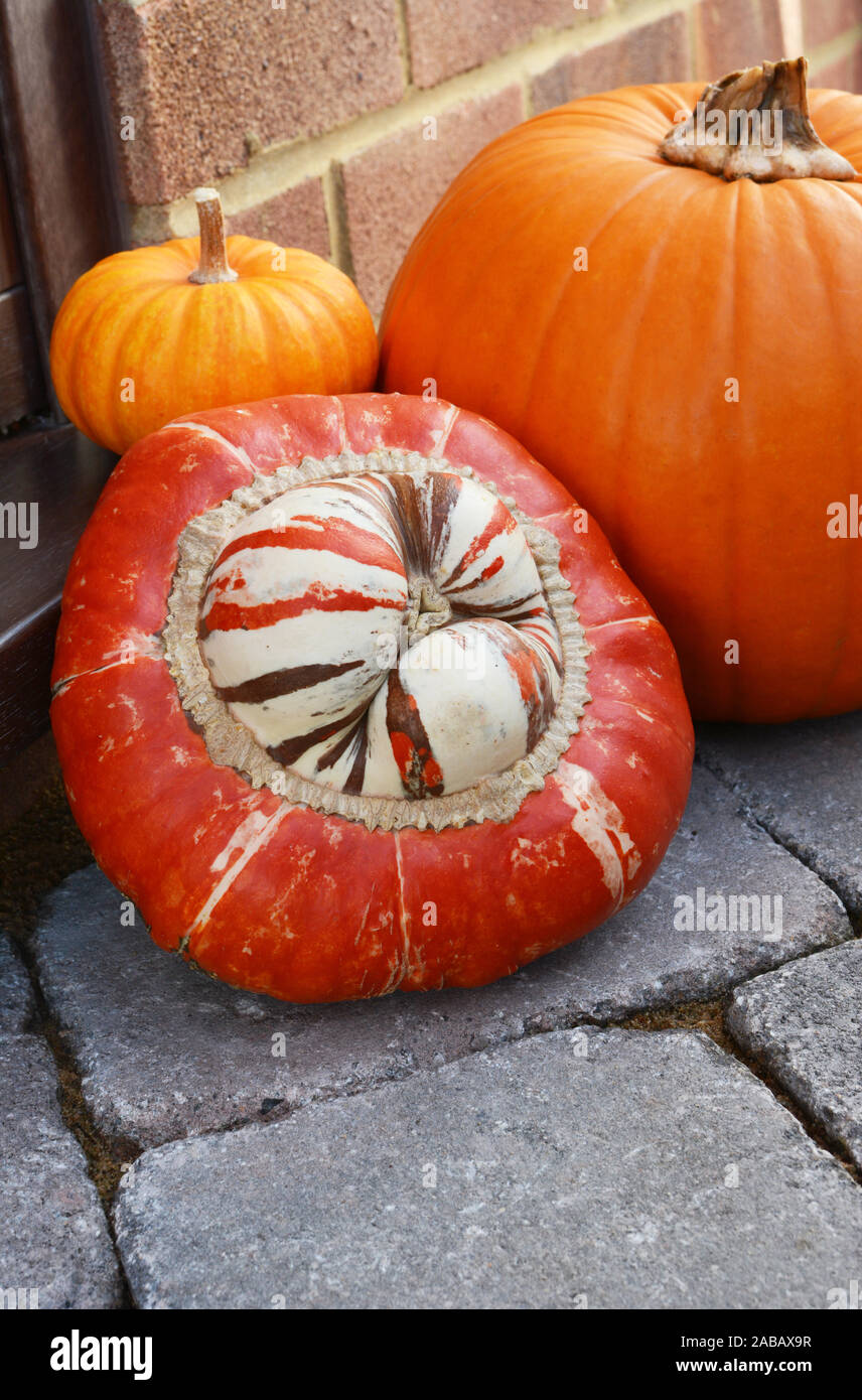 Striped Turks Turban gourd and pumpkins on a doorstep as a seasonal ...