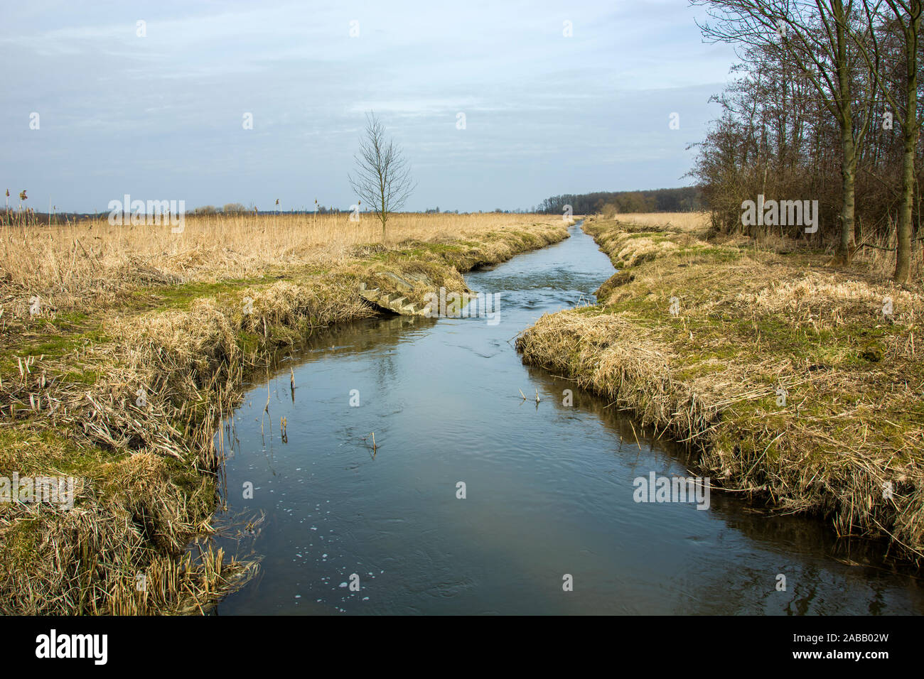 Grassy river bank hi-res stock photography and images - Alamy