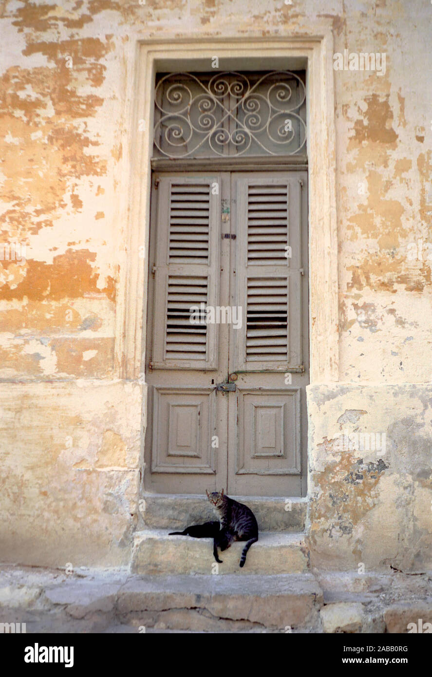 Two cats in a doorway Stock Photo - Alamy