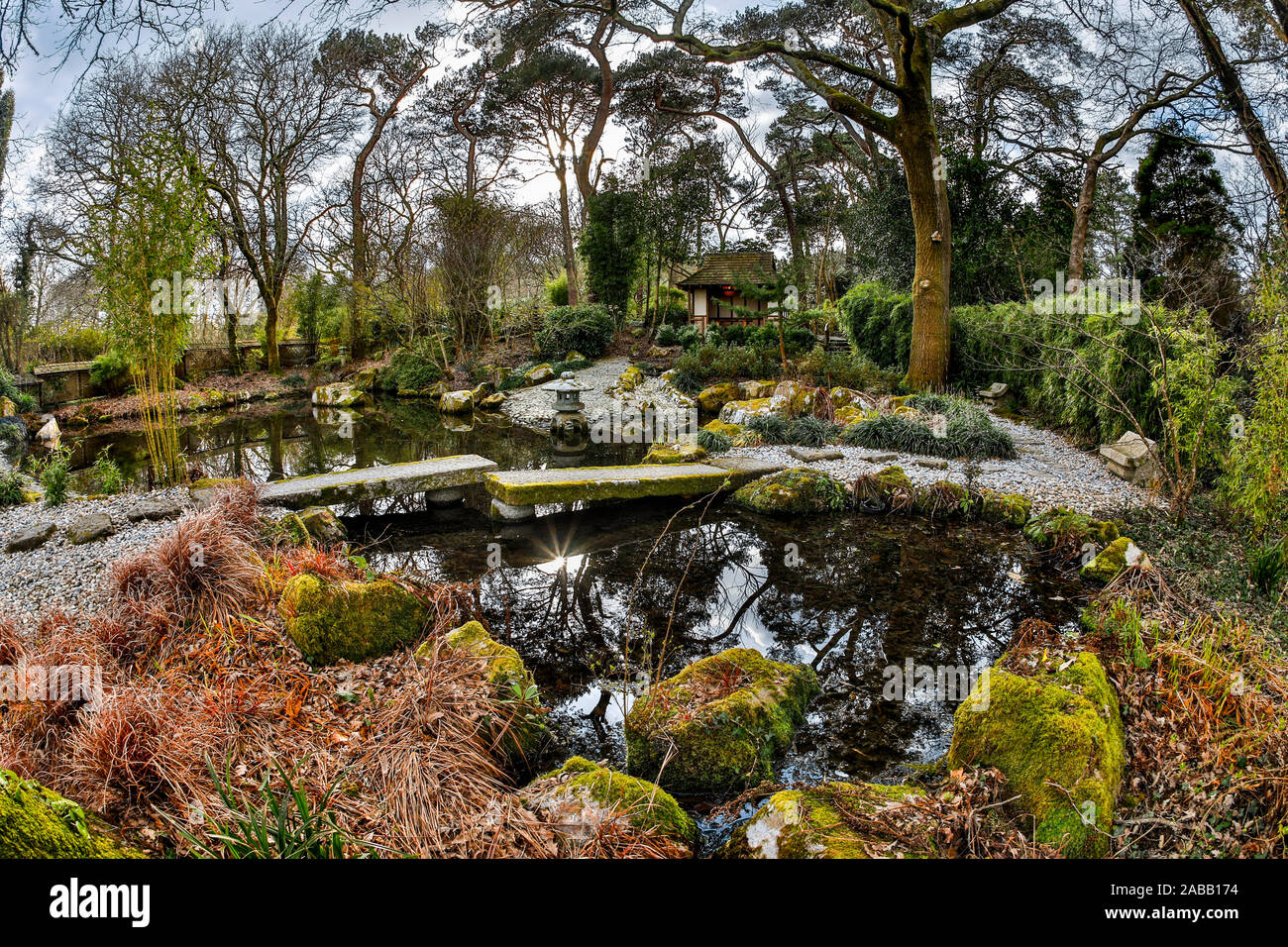 Pinetum Gardens; Cornwall; UK Stock Photo - Alamy