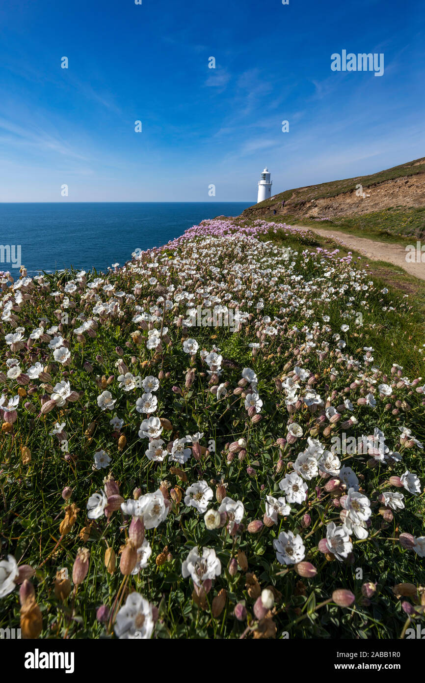 Spring coast path flowers hi-res stock photography and images - Alamy