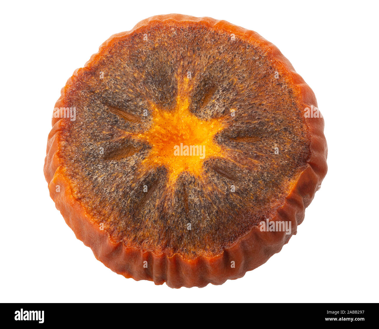Dried persimmon slice isolated on white. Sundried and sliced Diospyros ...