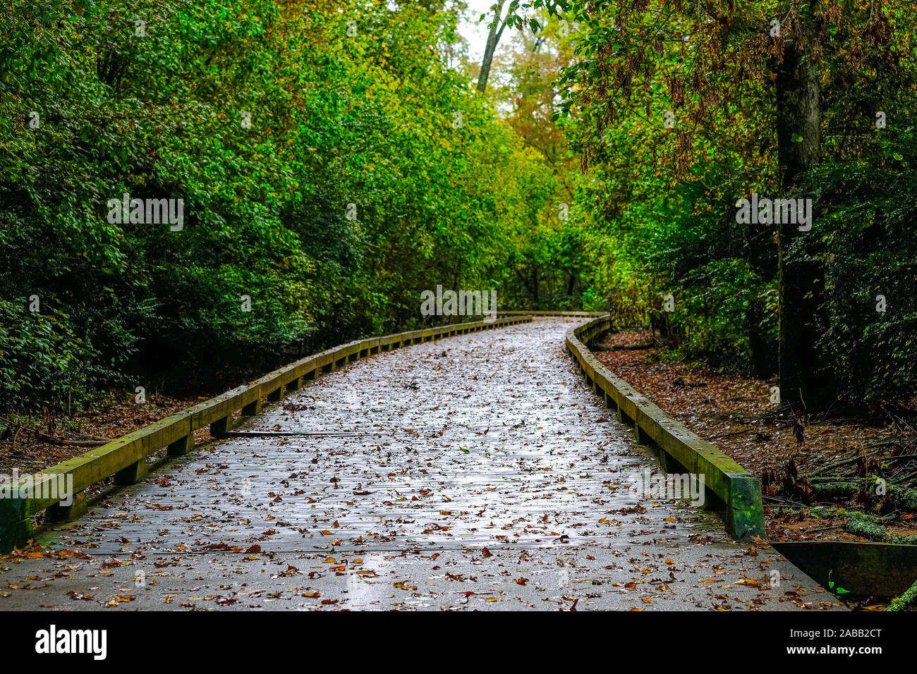 Wet trail hi-res stock photography and images - Alamy