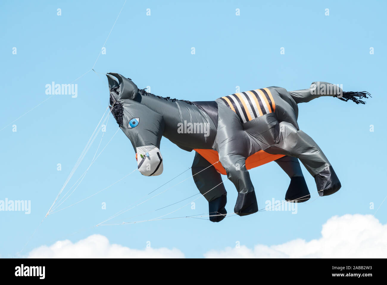 Donkey enjoyment hi-res stock photography and images - Alamy