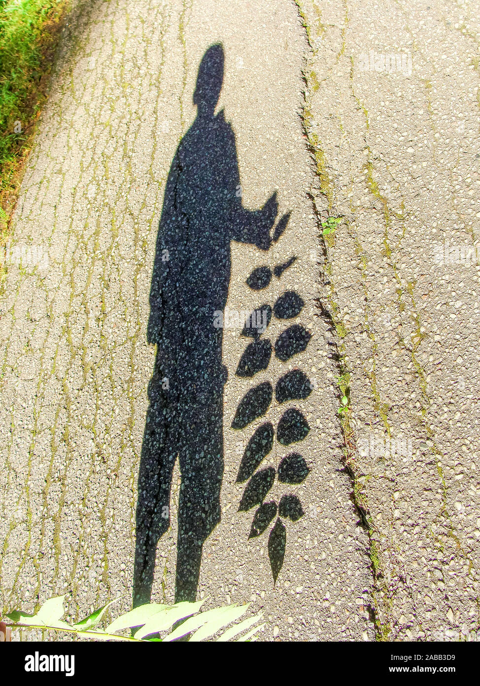 human shadow on the road Stock Photo - Alamy