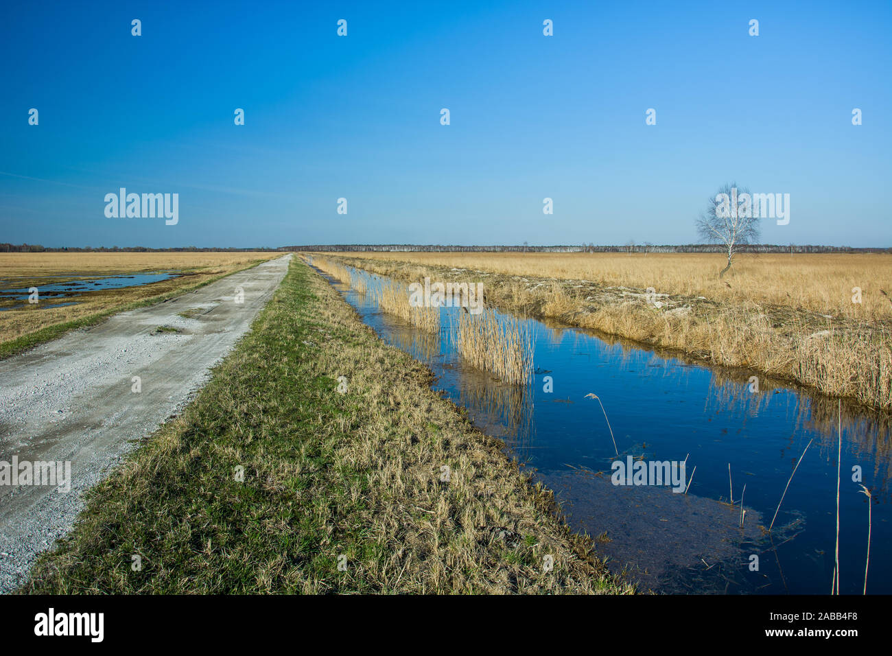 Irrigation canal by the road, horizon and blue sky Stock Photo - Alamy