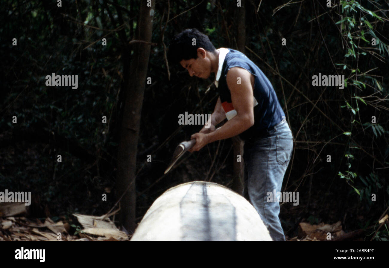 A young, indigenous Cocama man makes a living using an axe to make ...