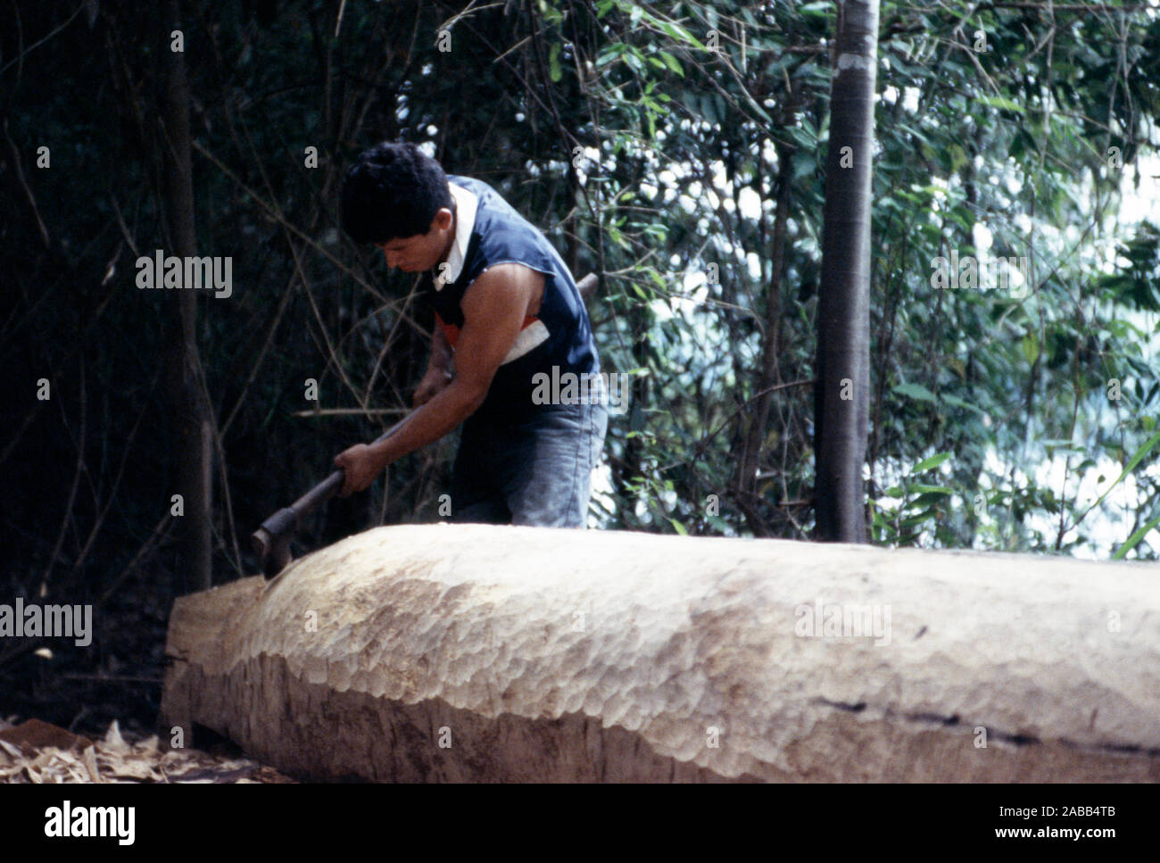 A young, indigenous Cocama man makes a living using an axe to make ...