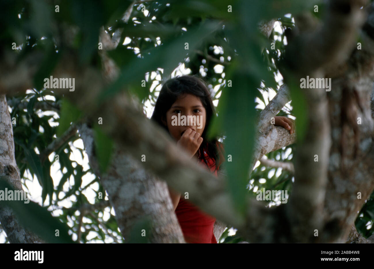 Amazonian tribal girl hi-res stock photography and images - Alamy