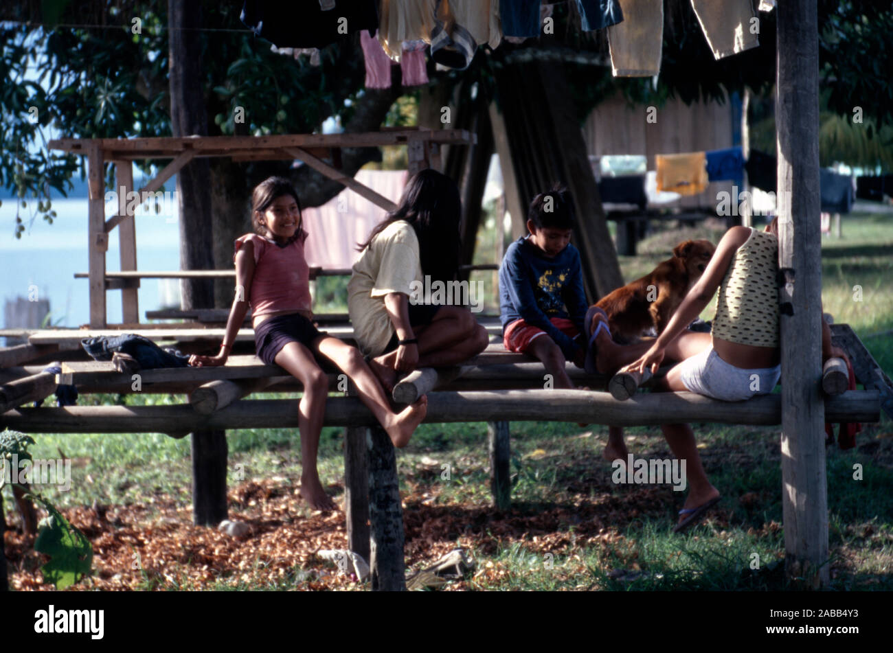 Indigenous Cocama children relaxing on a sunny day in their remote ...