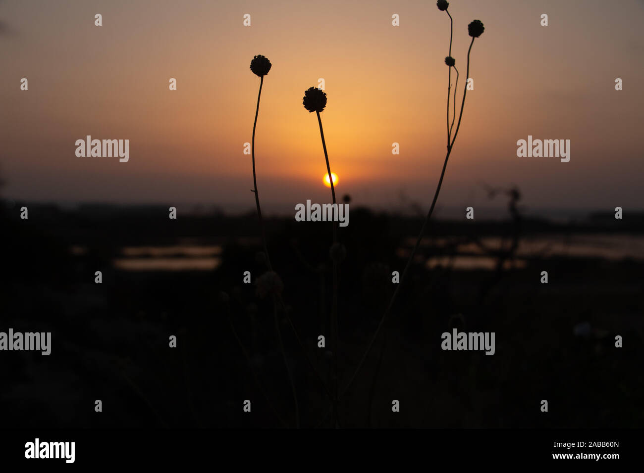 the sunset in different perspective and beauty of it in the colors of ...