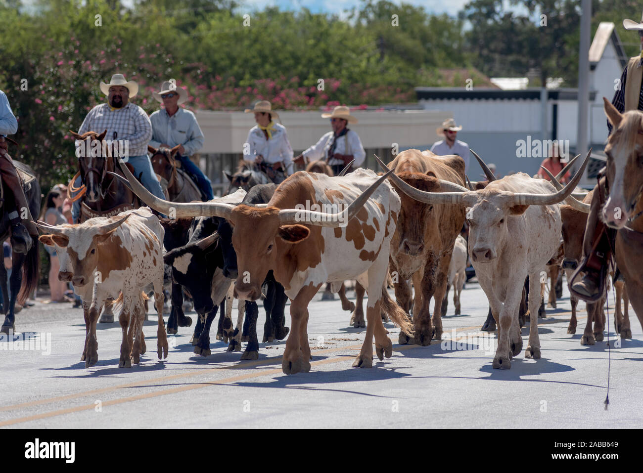 Bandera Texas Labor Day Parade 2018 Stock Photo - Alamy