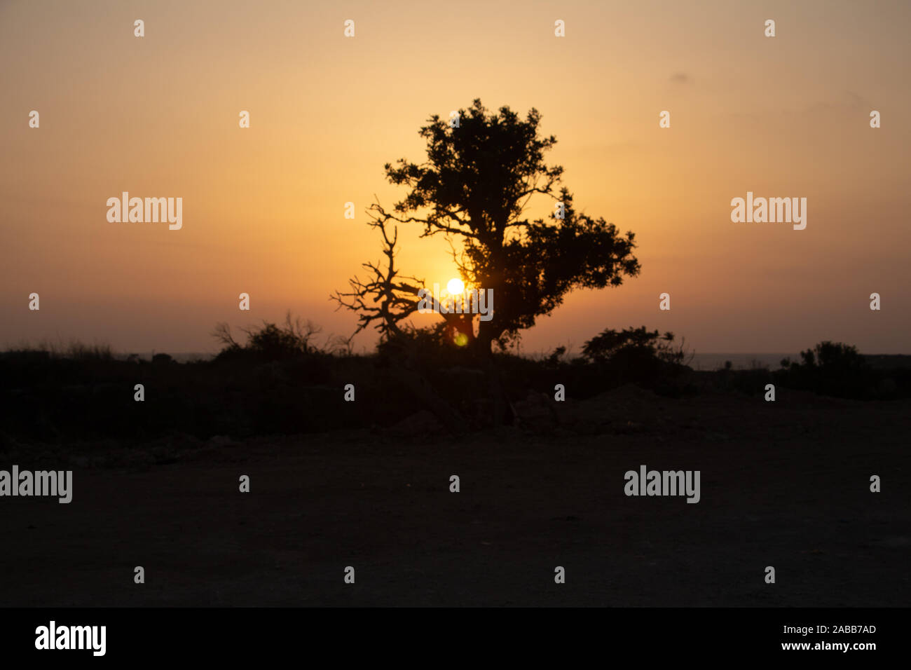 the sunset in different perspective and beauty of it in the colors of ...